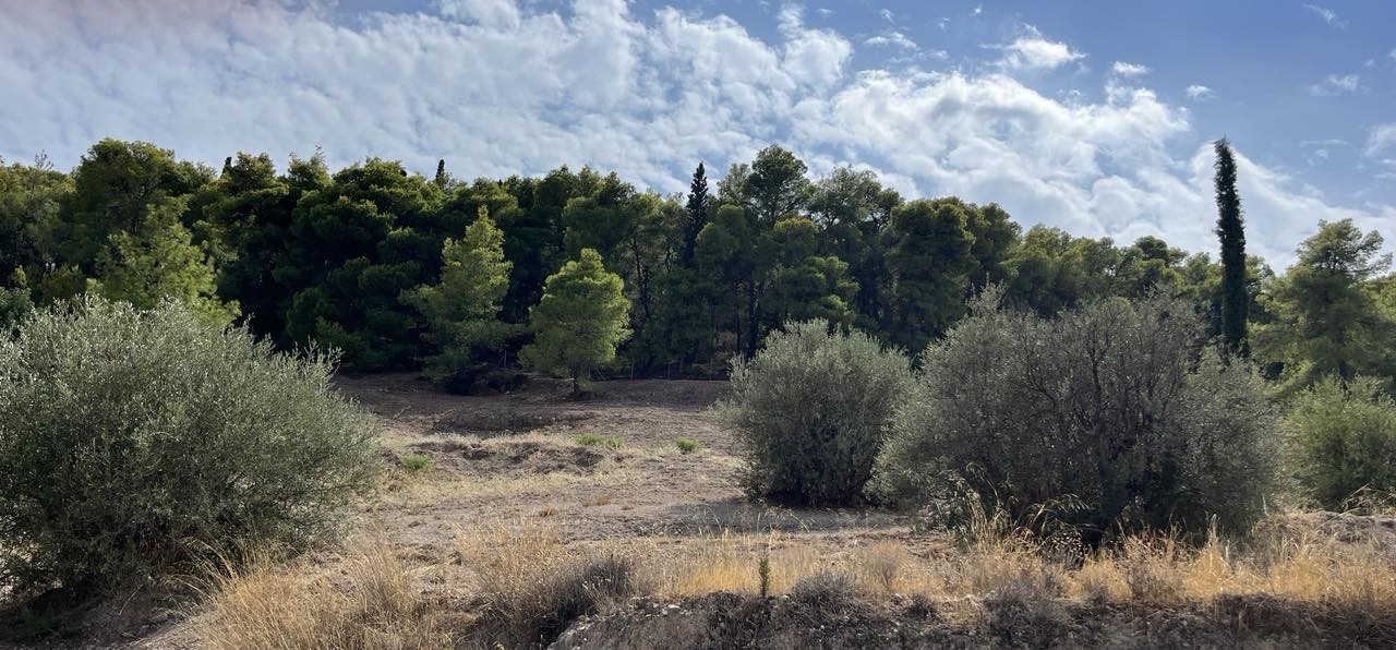 ο Δήμος Ερμιονίδας ο πρώτος Δήμος στην Περιφέρεια Πελοποννήσου που ...