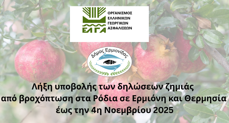 ΥΠΟΒΟΛΗ ΔΗΛΩΣΕΩΝ ΖΗΜΙΑΣ από Βροχόπτωση στα ΡΟΔΙΑ στην ΕΡΜΙΟΝΗ και τη ...